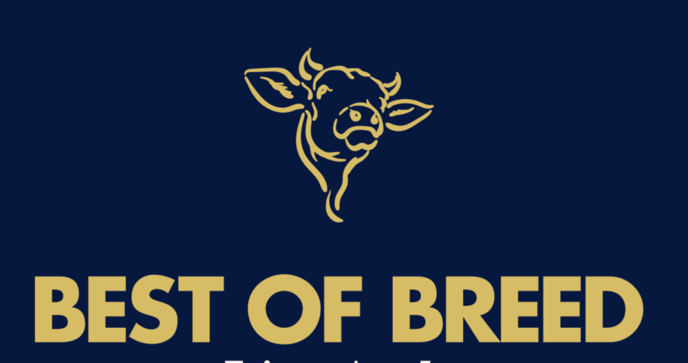 Okta: Best-of-Breed Apps Are Still Winning | SaaStr